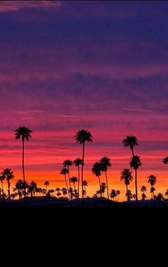 Yuma Palms – Photo Contest Winner – Yuma’s #1 Paint & Sip Studio